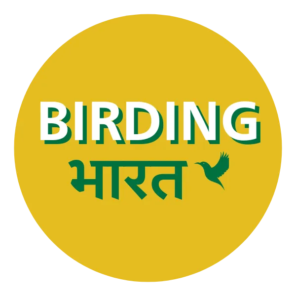 Bird Walk at Ekana Wetlands, Lucknow, UP – Ataavi